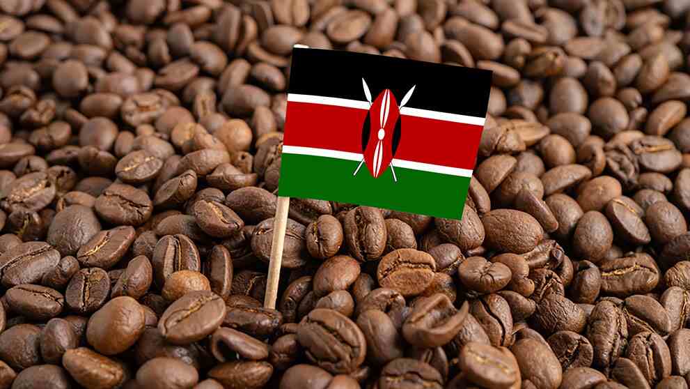 Top Commodities to Export from Kenya | DHL Kenya